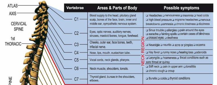 Chiropractor for Neck Pain - Chichester Chiropractic Health Centre
