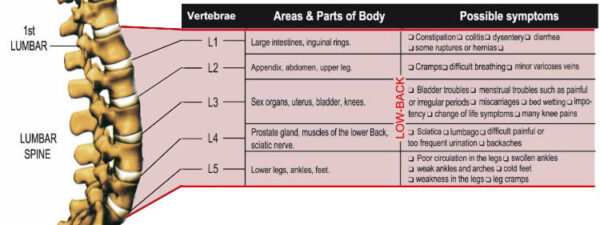 Common Conditions - Lower Back Pain - Chichester Chiropractic Health
